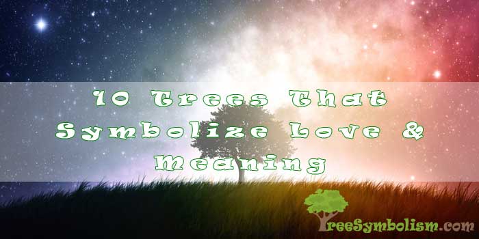 10 Trees That Symbolize Love & Meaning